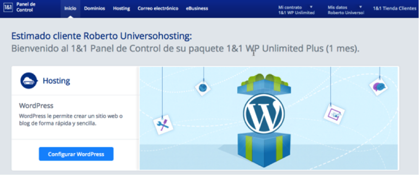 wizard-1and1-Hosting-WordPress